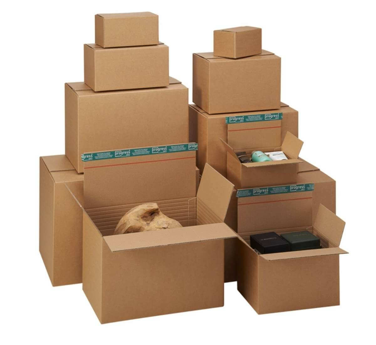 Boîte de transport d'expédition du système premium 460 x 310 x 300 ...